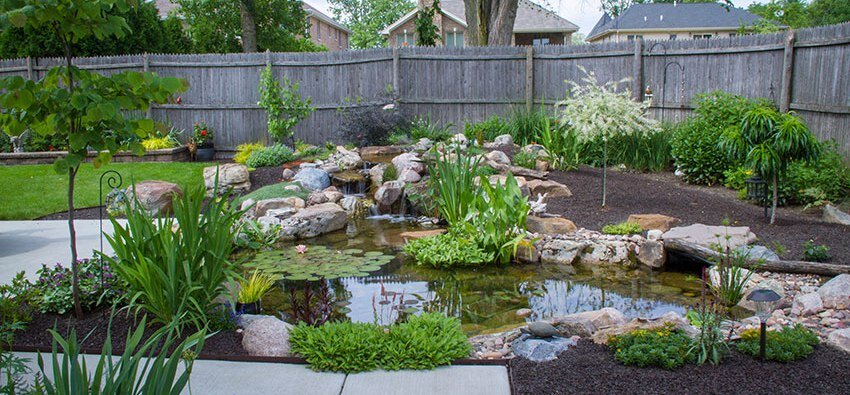 5 Benefits of an Ecosystem Pond - Clearwater Creations
