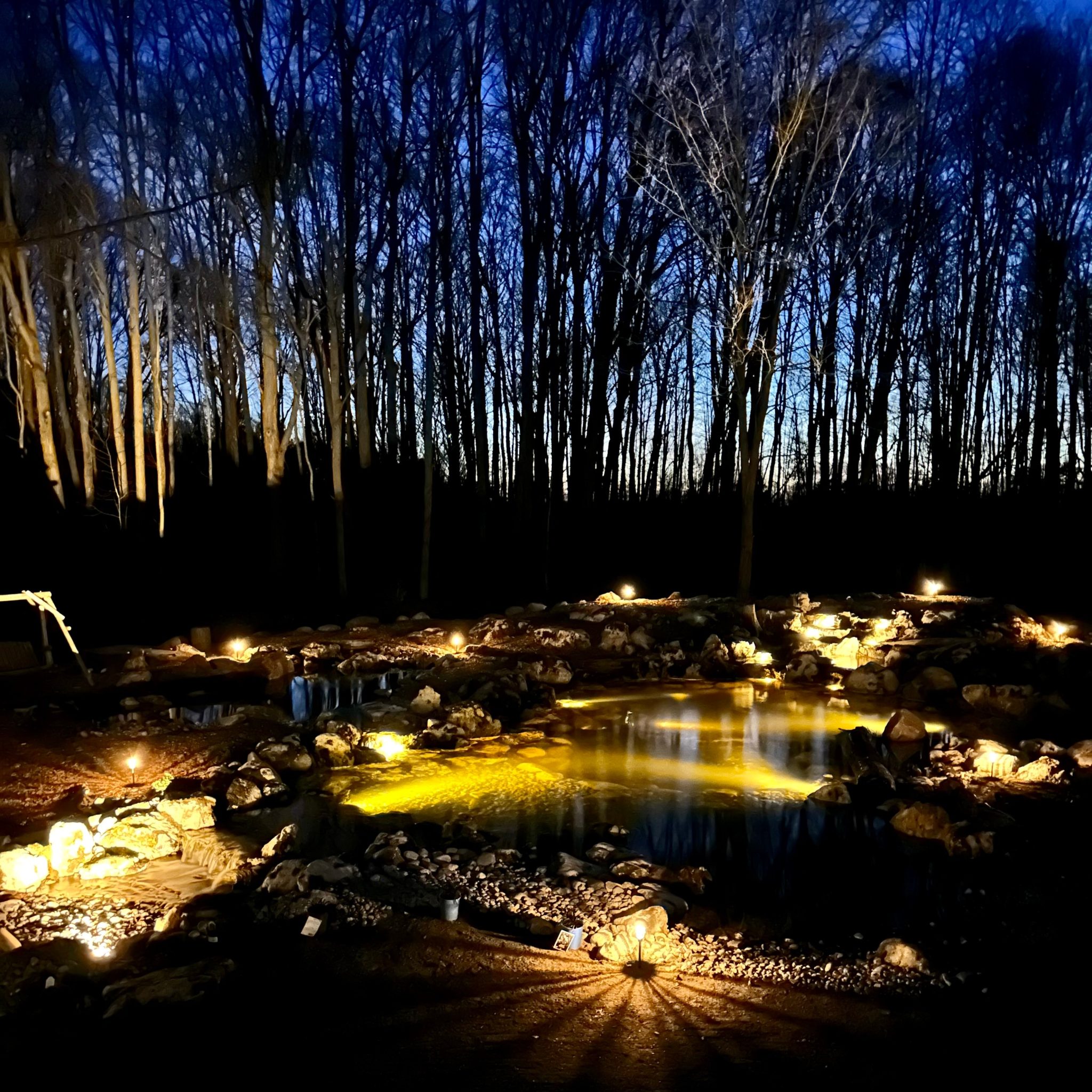 Traditional Pool vs Natural Swimming Pool - Clearwater Creations